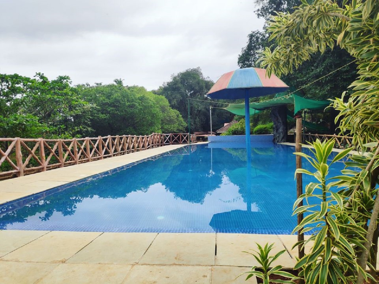 Best Resort in , Goa-SRK baag
